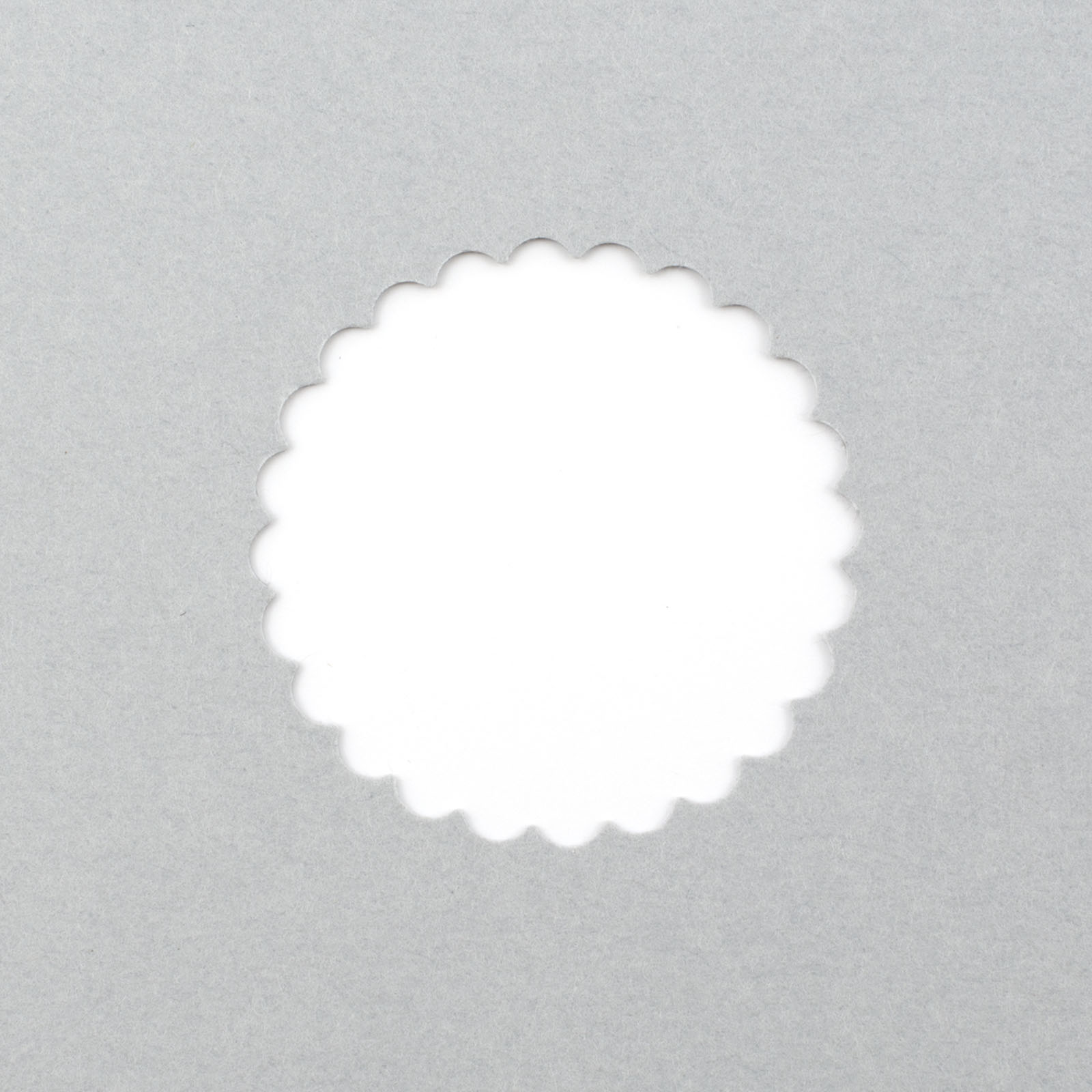 Magnetische Pons Cirkel Geschulpt I Vaessen Creative