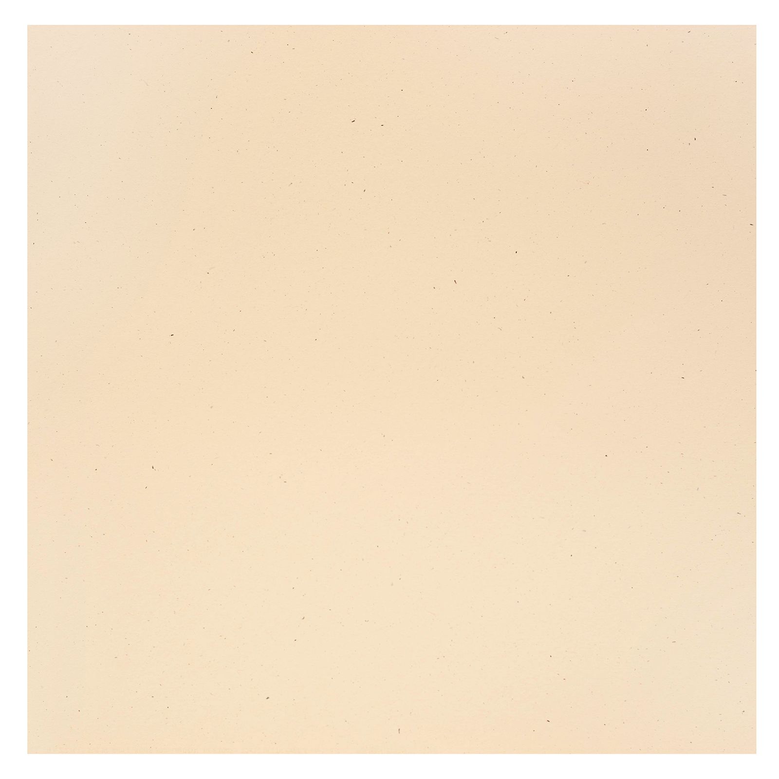 Bazzill • Speckle Cardstock 30,5x30,5cm