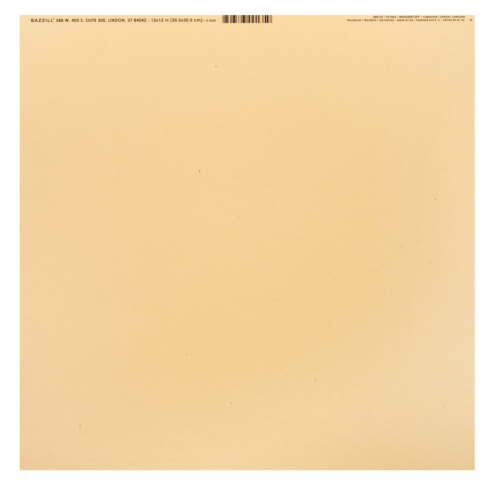 送料無料 Bazzill Texture Paper 100枚 バジル ペーパー アシッドフリー リグニンフリー スクラップブッキング