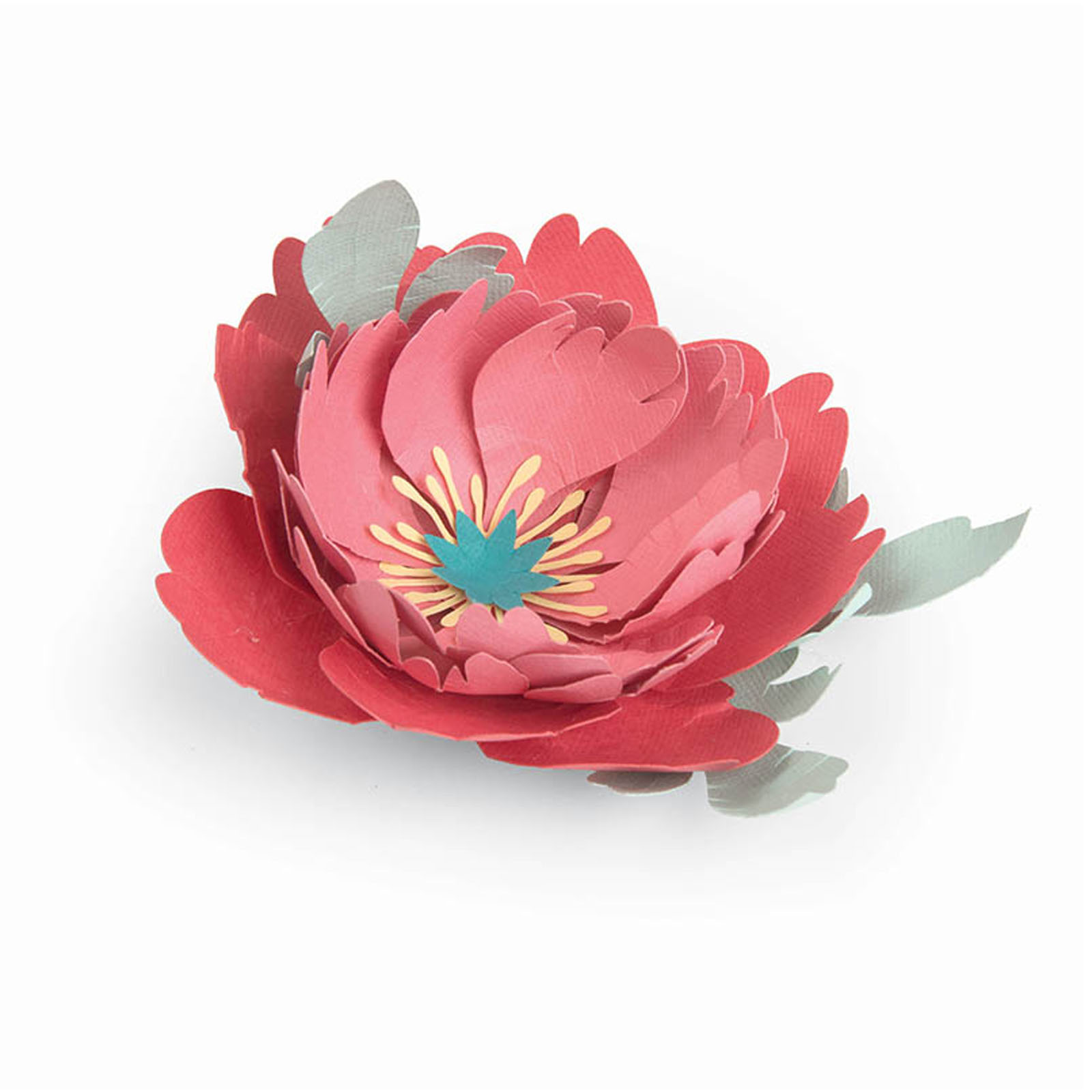 Sizzix • Thinlits Die Set 5PK Peony by Courtney Chilson