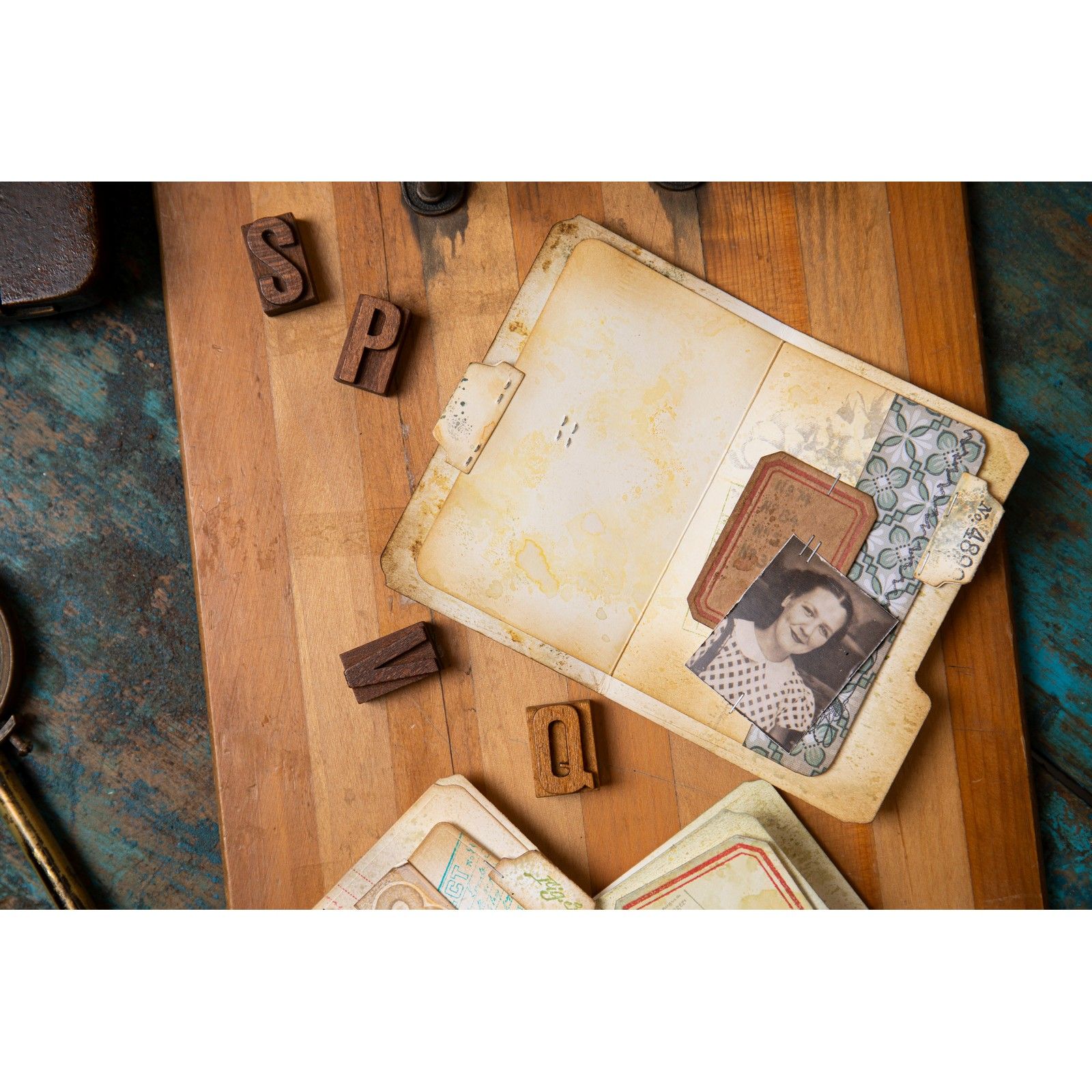 Sizzix • Tim Holtz Thinlits Die Set Specimen 54pcs