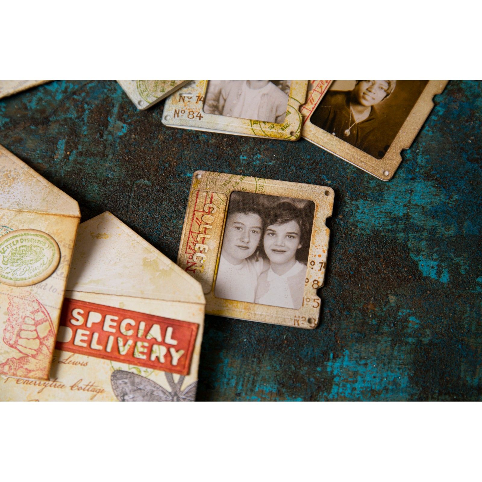 Sizzix • Tim Holtz Thinlits Die Set Specimen 54pcs