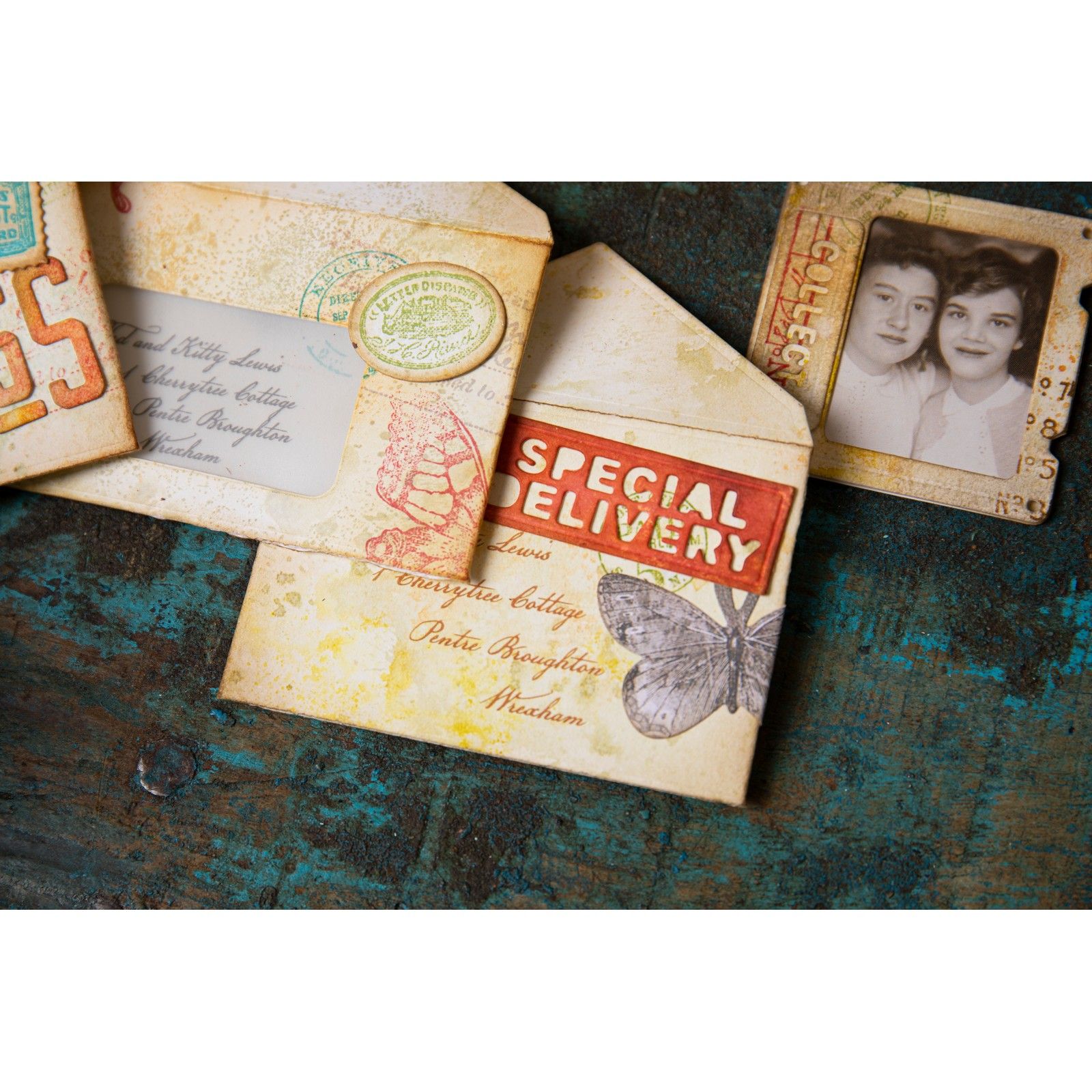 Sizzix • Tim Holtz Thinlits Die Set Specimen 54pcs